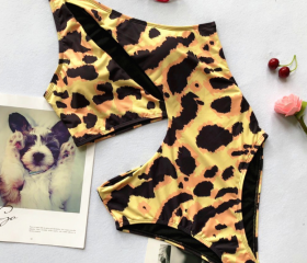 Bulk Leopard Pattern Swimwear on Luulla
